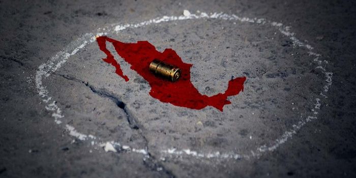 Violencia En México Cifra Récord De Asesinatos Durante El Primer