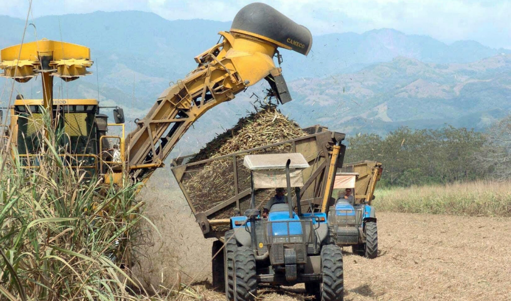 Costa Rica: el juego sucio de las empresas agroindustriales - Por ...