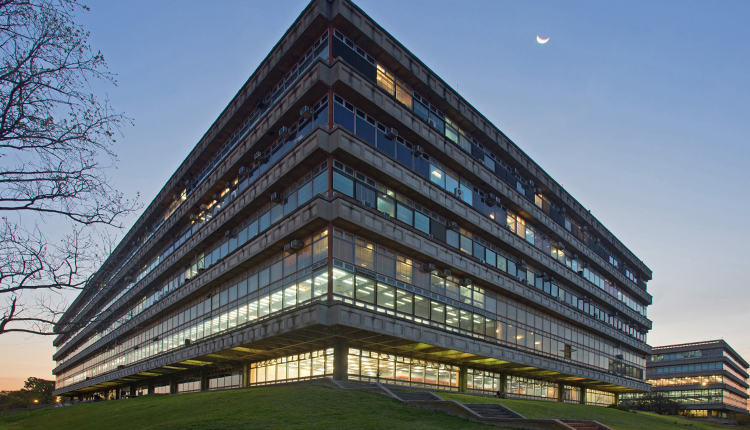 Informe La Universidad De Buenos Aires Se Consolida Como La Mejor De