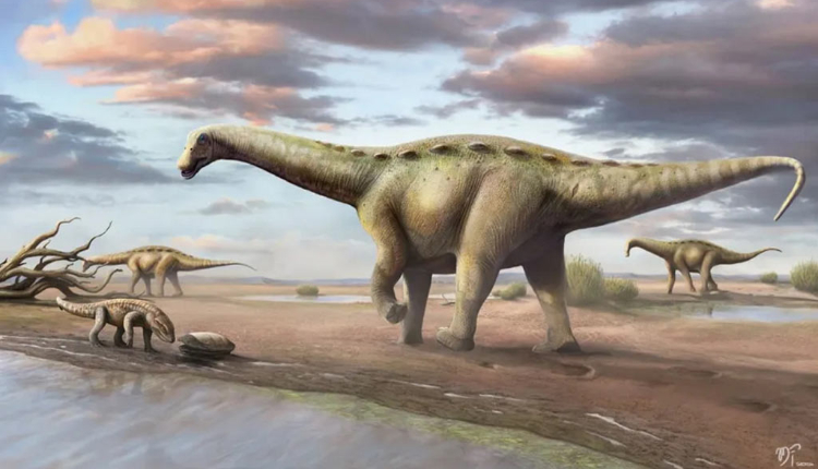 Brasil | Descubren una nueva especie de dinosaurio en Sao Paulo – NODAL Brasil | Descubren una nueva especie de dinosaurio en Sao Paulo – NODAL