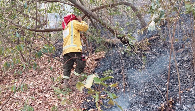 Bolivia | Municipios cruceños y áreas protegidas en alerta roja por ...