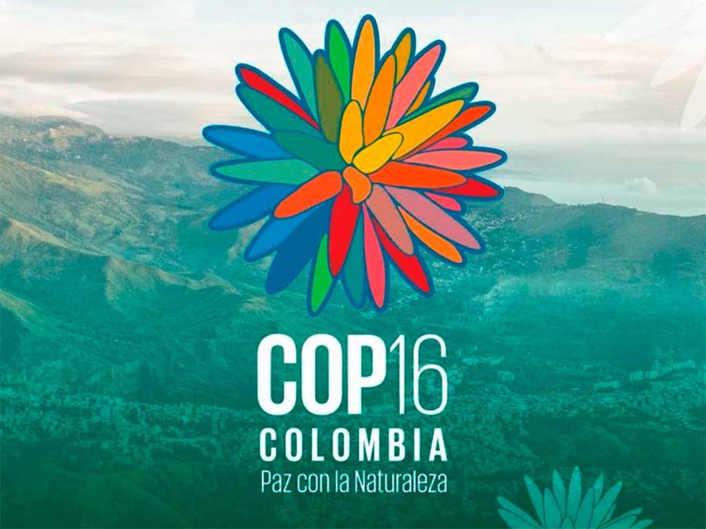 Colombia-Cali-COP-16-1-1-1 – NODAL