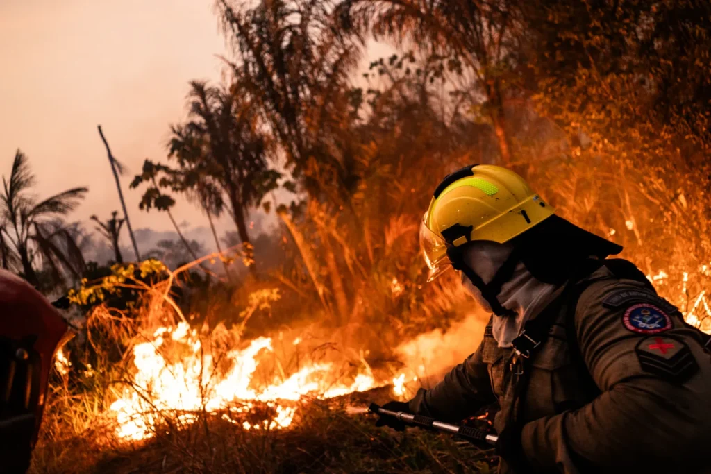 Brasil y Bolivia son las naciones más afectadas por los incendios en ...