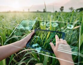 Argentina, una desigualdad evidente entre el récord agroexportador y ...